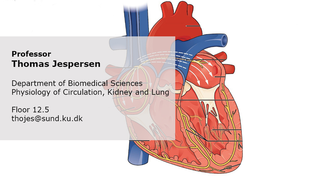 Jespersen Group – University of Copenhagen