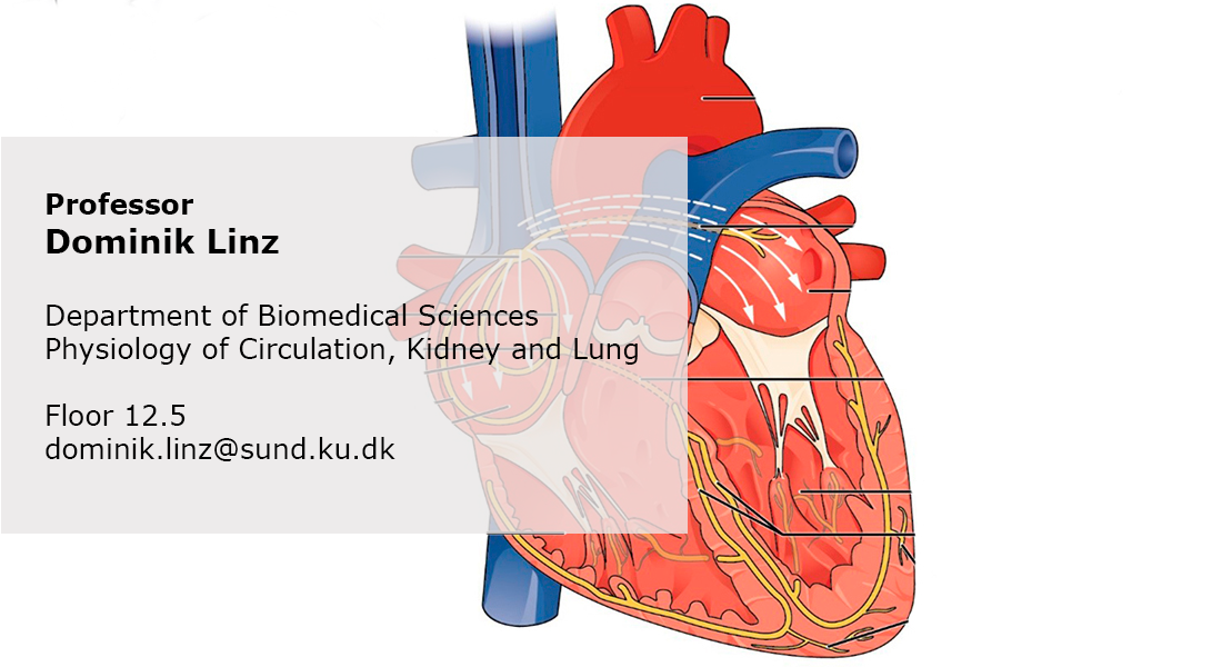 Linz Group – University of Copenhagen