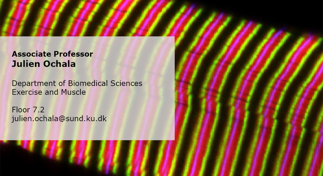 Ochala Group – University of Copenhagen