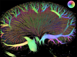 Sørensen Group – University of Copenhagen