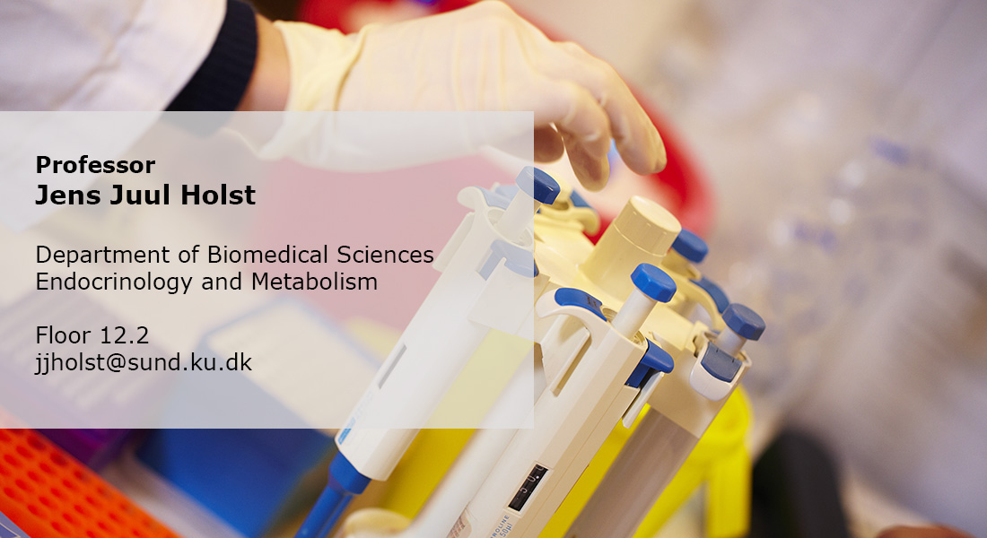 Holst Group – University of Copenhagen