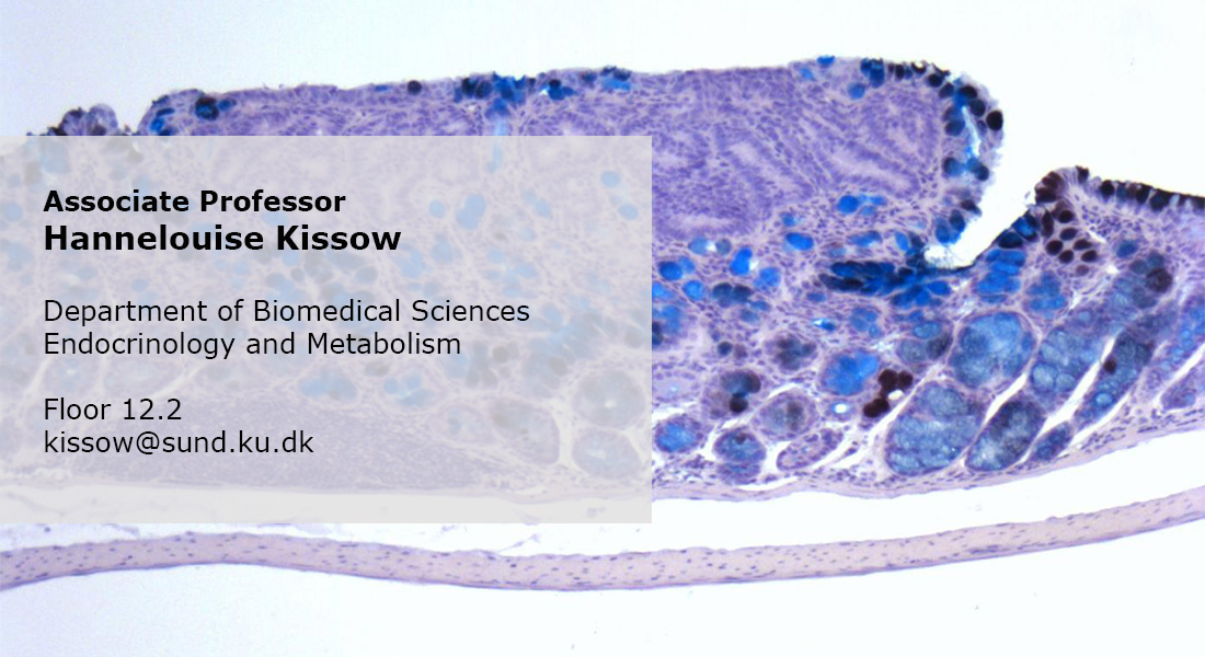 Kissow Group – University of Copenhagen